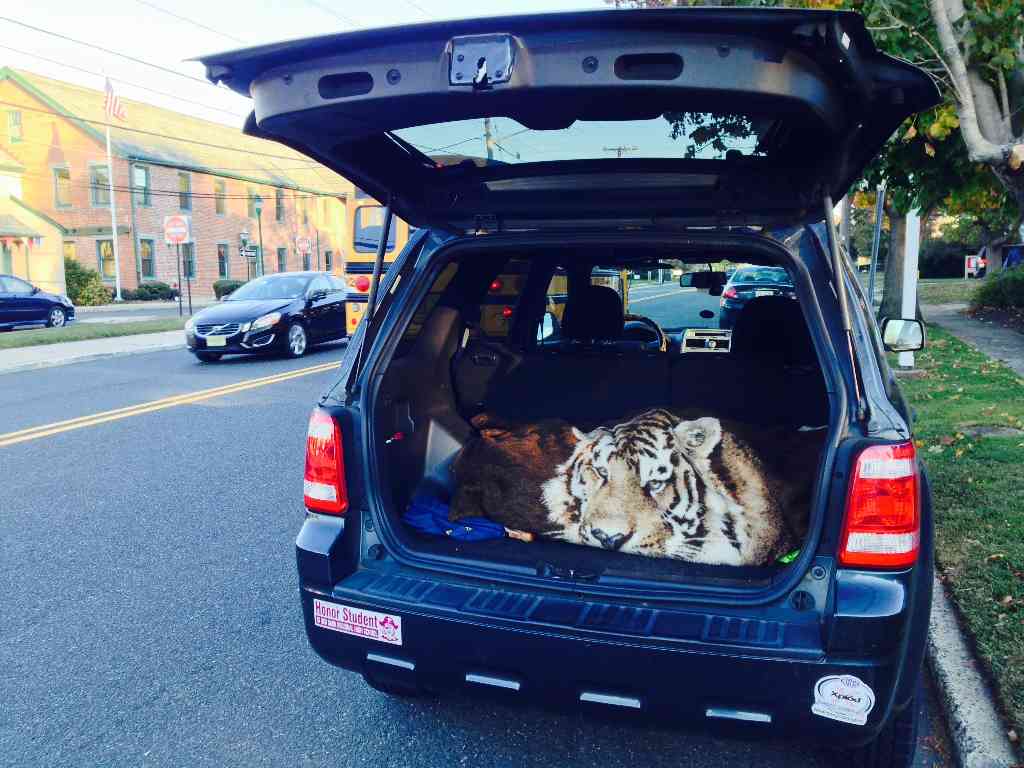 RED BANK: WATCHFUL EYES AT CROSSING - Red Bank Green