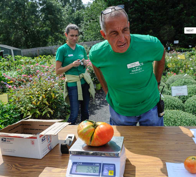 LITTLE SILVER: LOCALLY GROWN & LEGENDARY - Red Bank Green