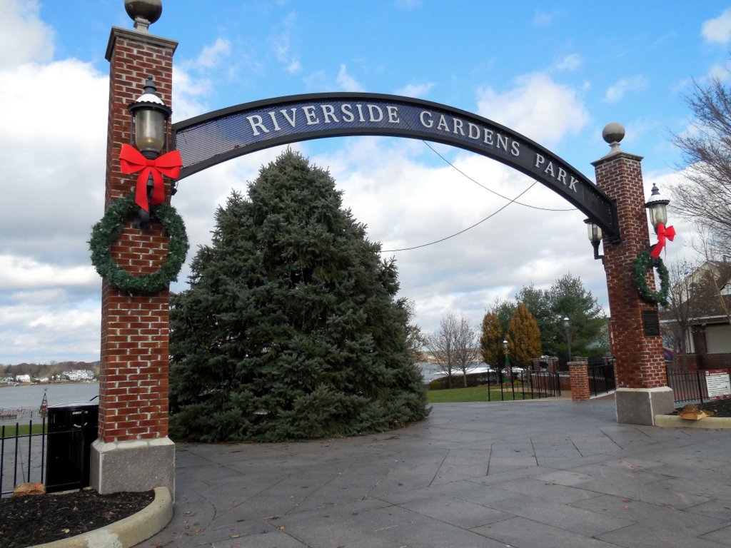 RED BANK: CHRISTMAS TREE WANTED - Red Bank Green